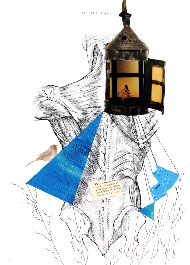 Drawing/Collage | Sarah Walko